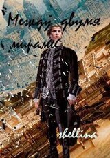 Между двумя мирами скачать fb2, epub книгу shellina, читать онлайн